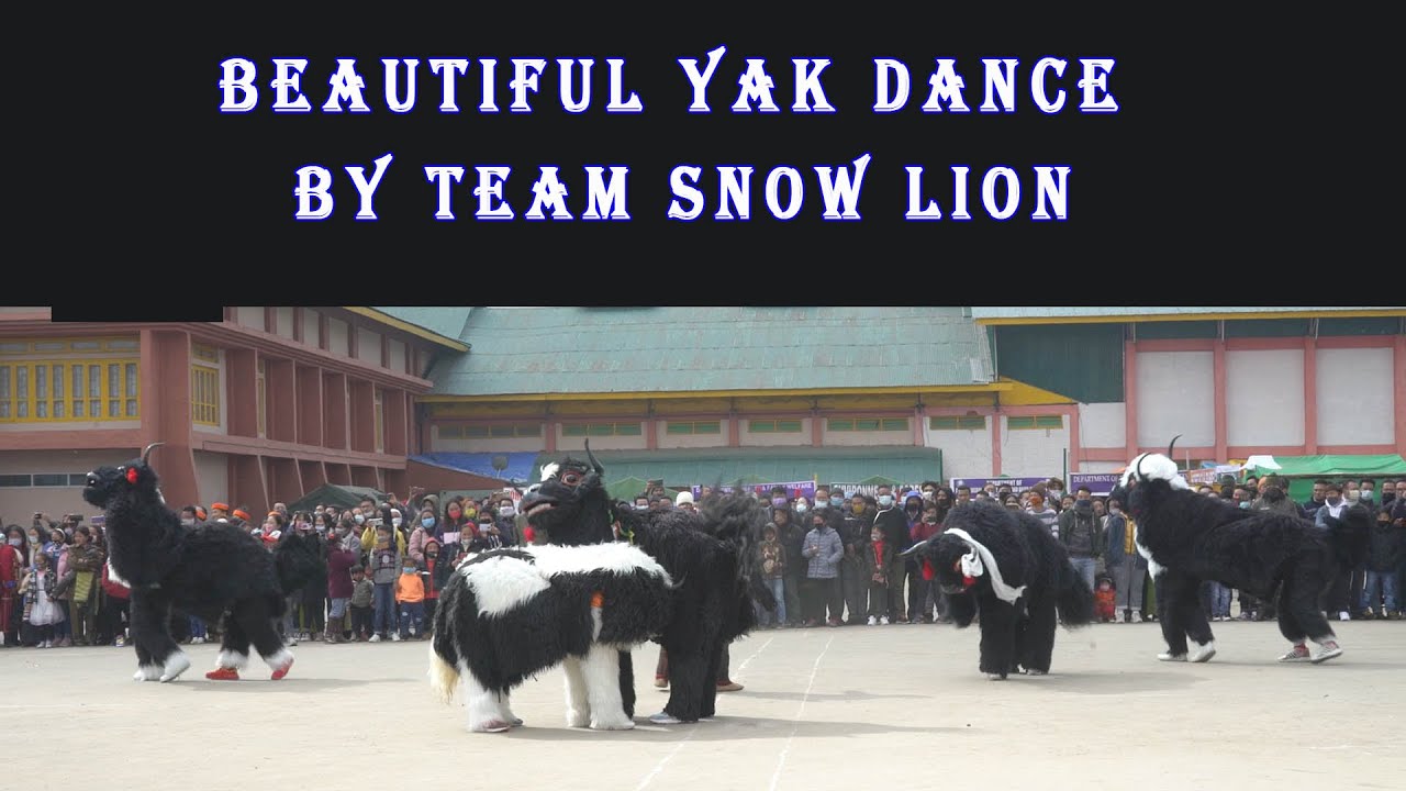 Beautiful Yak Dance by Team Snow Lion - YouTube
