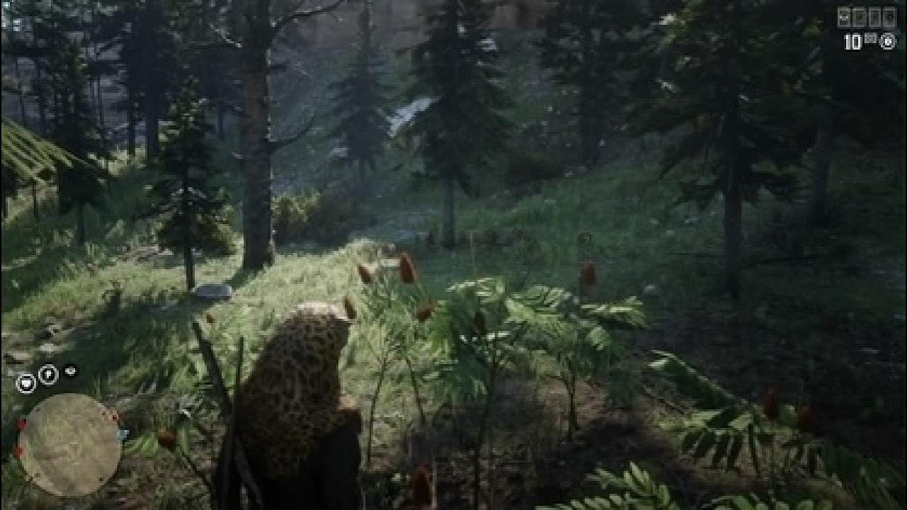 Red Dead Redemption 2 Online - Delivering Goods to Wallace Station ...