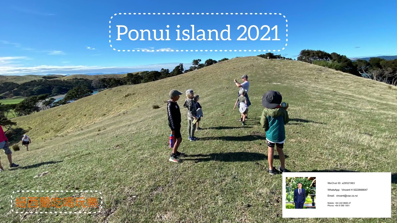 Ponui island 2021 - 2000多隻野生奇異鳥- 紐西蘭吃喝玩樂 - YouTube