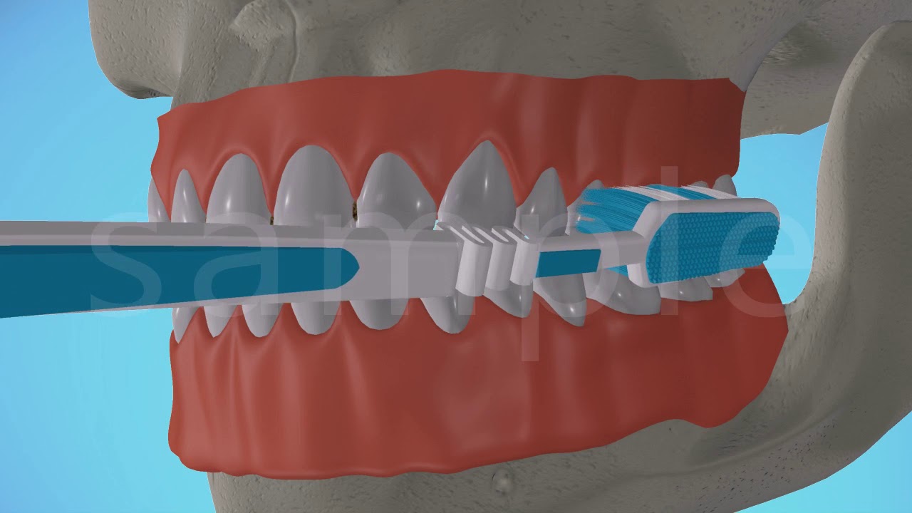 Proper teeth brushing 3d video - YouTube