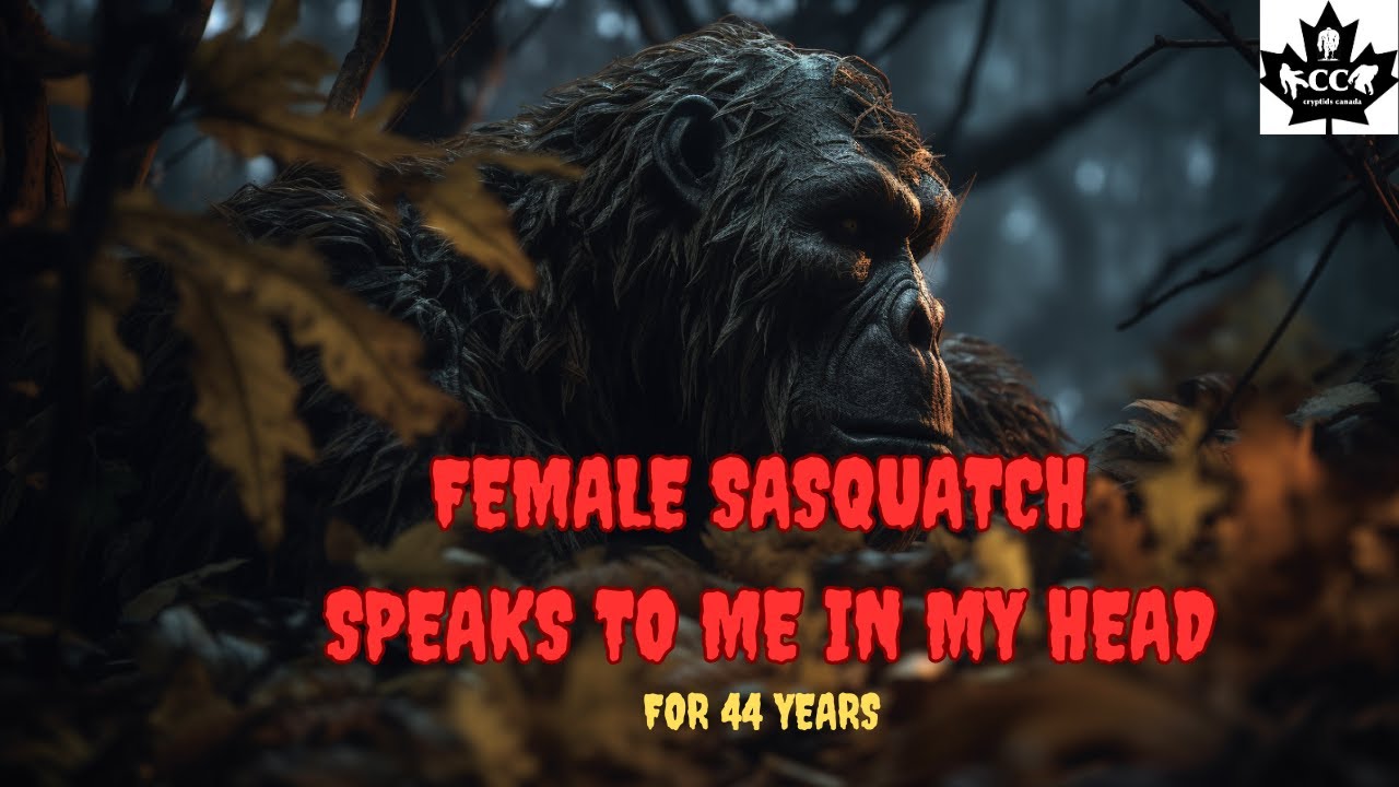 EPISODE 600 FEMALE SASQUATCH SPEAKS TO ME IN MY HEAD (FOR 44 YEARS ...