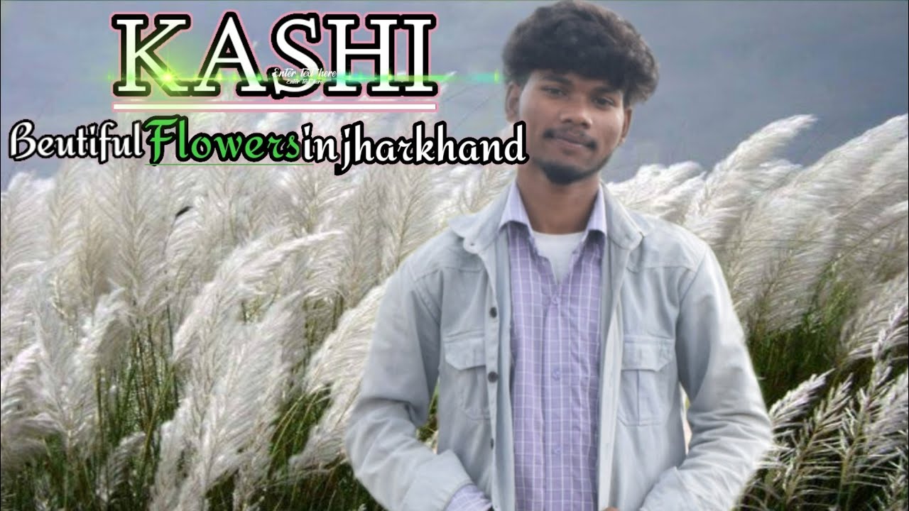 काशी फुल Kashi Flower In Jharkhand #Flower #rohitvlog #jharkhand - YouTube