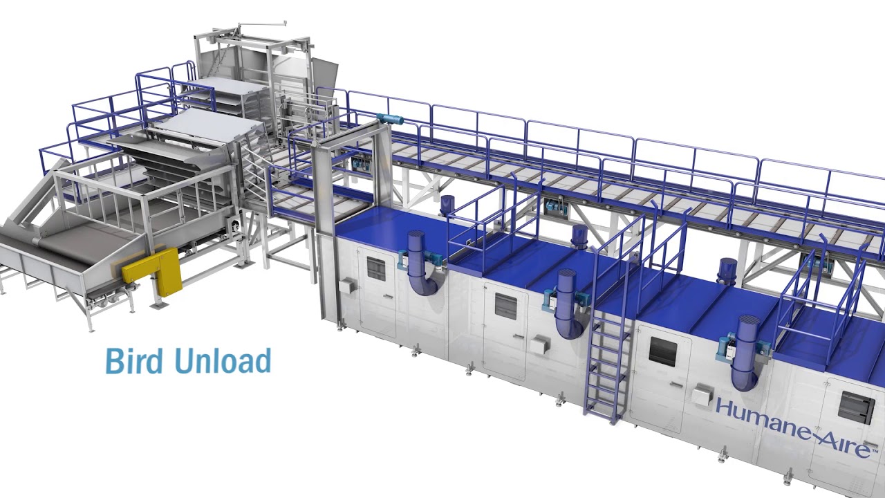 Humane-Aire Generic Chicken Stunner Video - YouTube