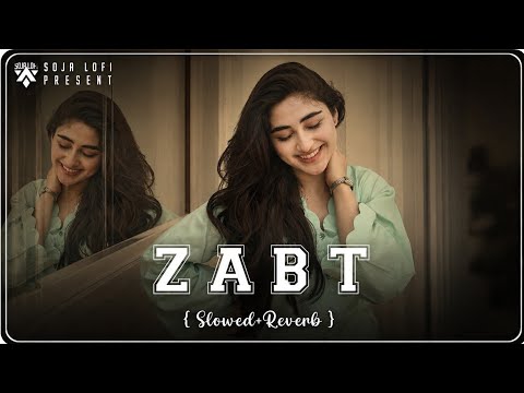 Zabt (Slowed + Reverb) Zoha Tauqeer | Pakistani Drama Song | Zabt Drama | Lofi Song 2026 
