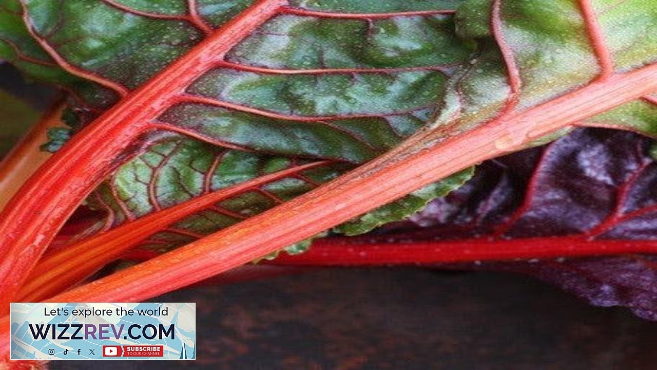 Swiss Chard Ruby Red – Seeds Review - YouTube