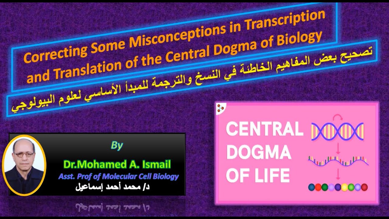 Correcting Some Misconceptions in Transcription, Translation for ...