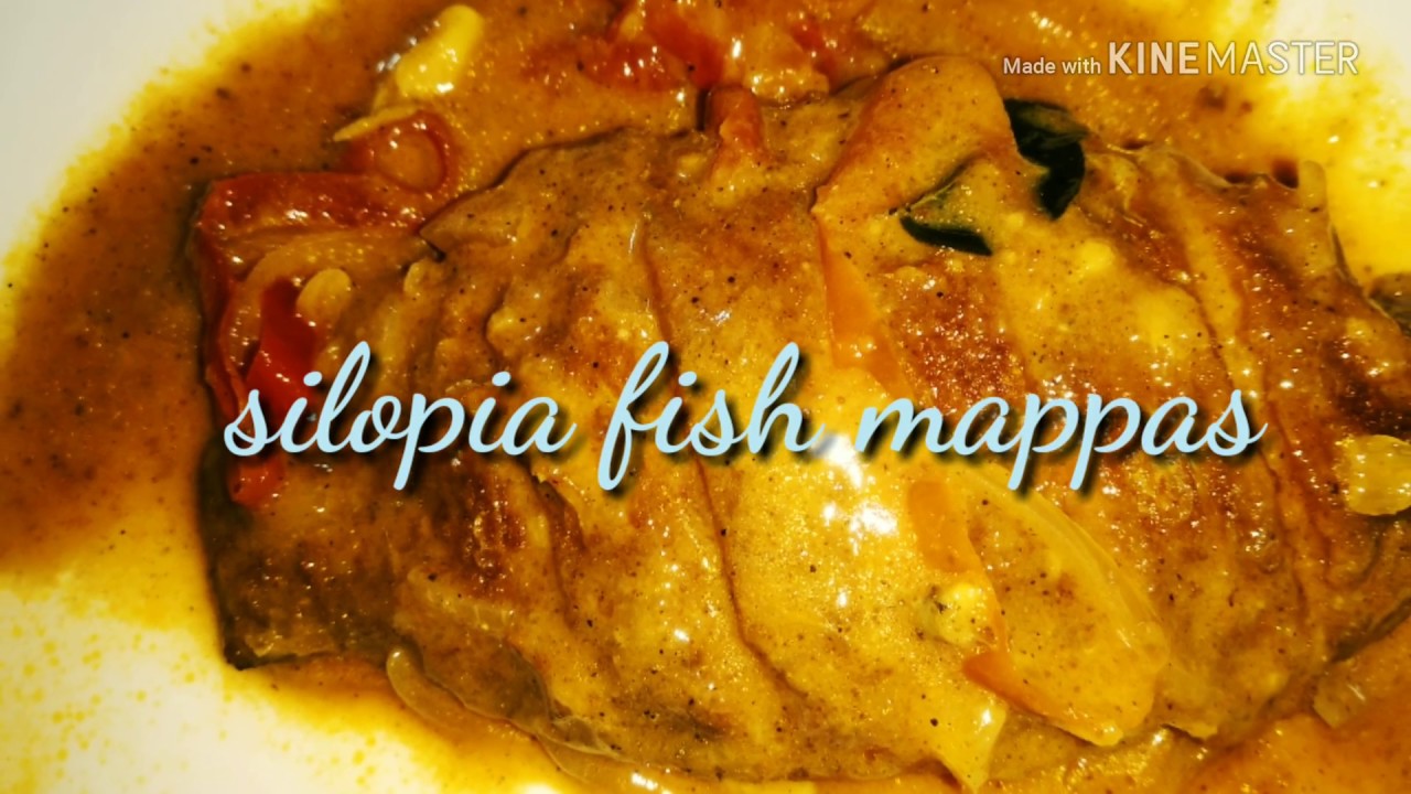 🐳🐳perfect fish mappas {ഫിഷ് മപ്പാസ്} ️🐳🐳 - YouTube