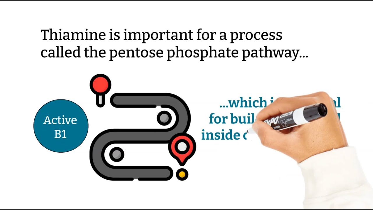 Why magnesium is ESSENTIAL when supplementing with thiamine! - YouTube