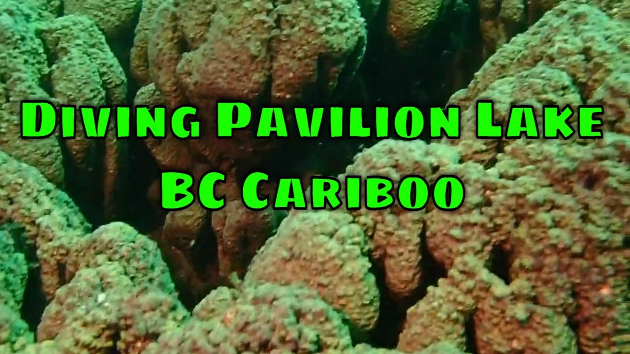 Diving at Pavilion Lake in BC's Cariboo - YouTube