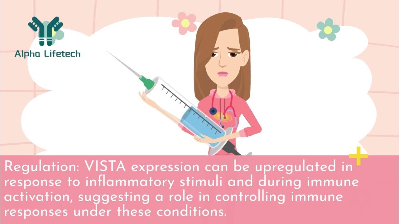 3-Minute Crash Course on Gi24/B7-H5/VISTA Targeting! 📚⚡ - YouTube