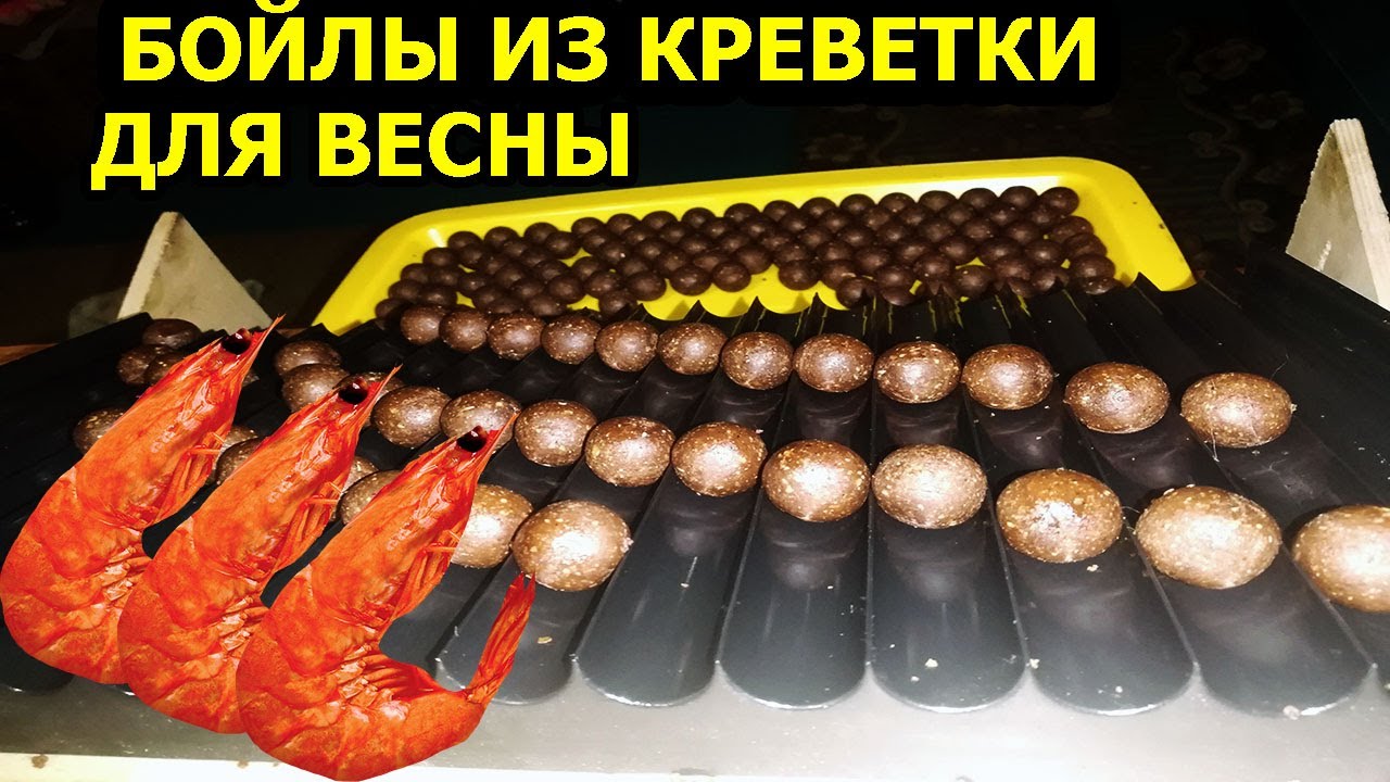 БОЙЛЫ ИЗ КРЕВЕТКИ,БОЙЛЫ ПЫЛЯЩИЕ СВОИМИ РУКАМИ,БОЙЛЫ СВОИМИ РУКАМИ,бойлы ...