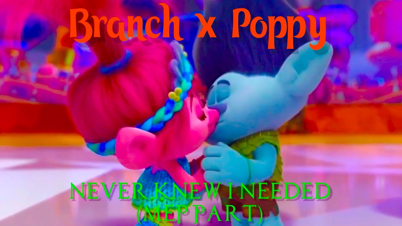 Branch x Poppy - Never Knew I Needed (MEP Part) - YouTube
