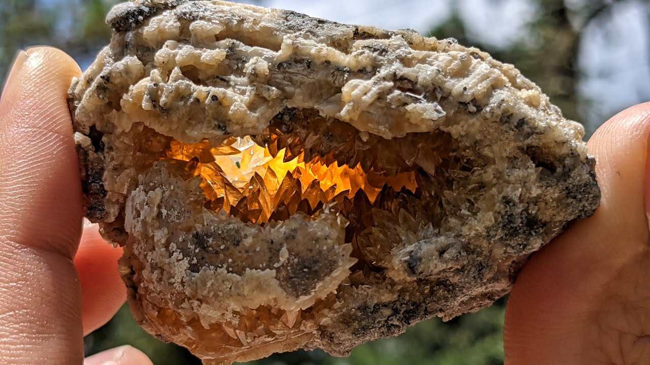 You DO NOT Want to Miss this EPIC Fossil Hunting and Crystal Hunting ...