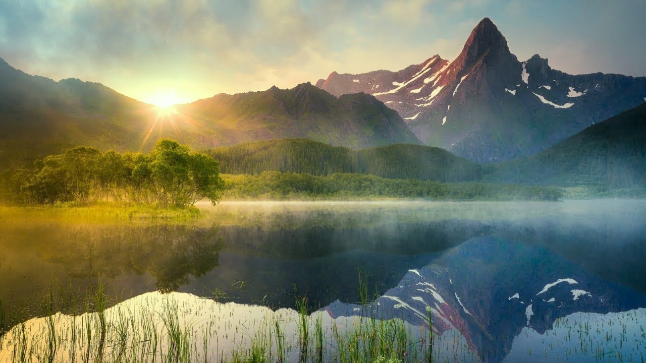 Feel the relaxation - copyright free nature video | copyright free ...