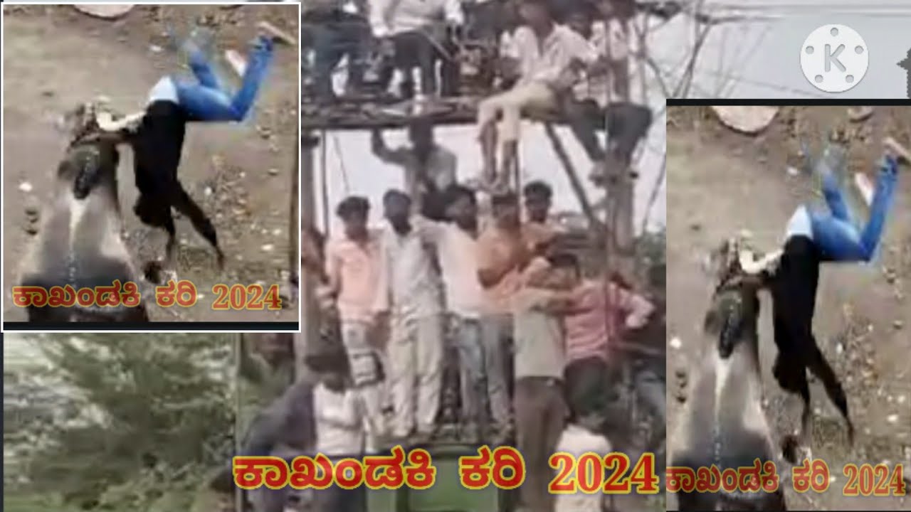 ಕಾಖಂಡಕಿ ಕರಿ 2024 ¦ kakandaki kari 2024 Live video kakandaki ¦ ಹಾವೇರಿ ಗೂಳಿ ¦ ಬೆಂಕಿ ಕರಿ ಸಂಭ್ರಮ ...