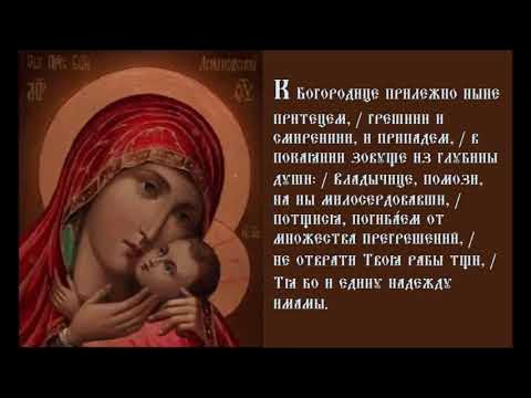 Икона Богородицы «Спасительница утопающих» (Леньковская, Новгород ...