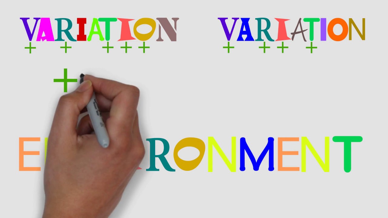 Variation Explained Using VideoScribe - YouTube
