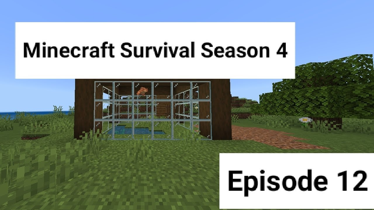 Minecraft Survival Season 4 Episode 12: Membina Terrarium Katak 🐸 - YouTube