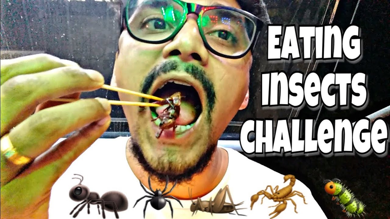 Eating Insects/Bugs challenge at Thailand Market || Thai Snacks ...