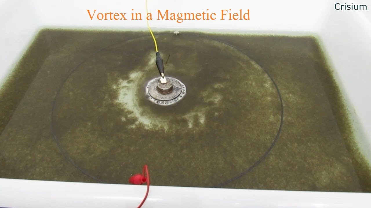 Magnetic Force on a Conductive Liquid - Vortex in a Magnetic Field ...