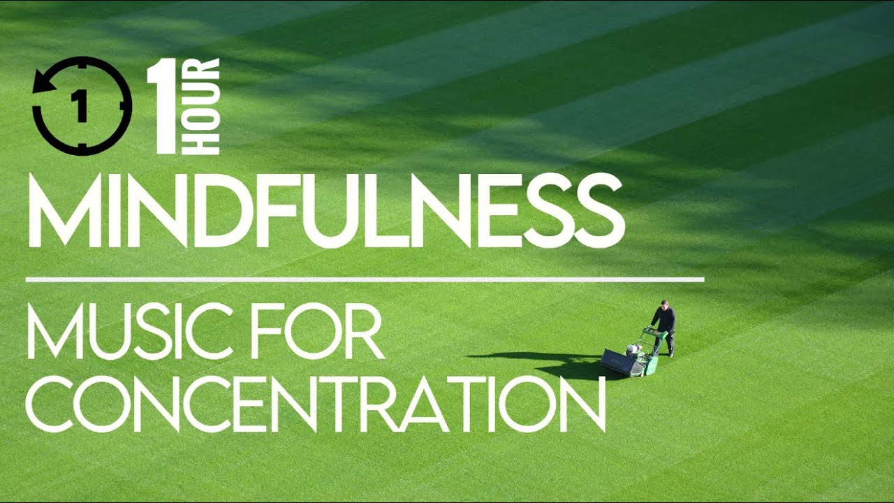 1 HOUR bird humming forest sound for concentration | ASMR | Relaxing ...