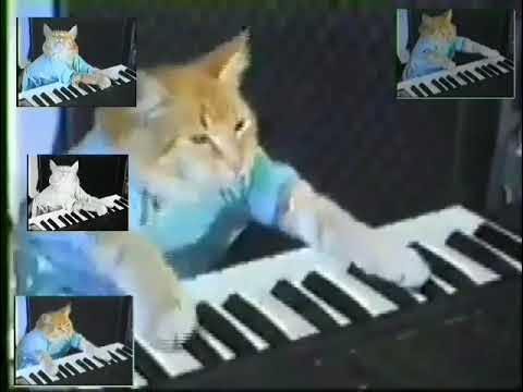 ~Keyboard Cat~ {Sparta crash mix} - YouTube