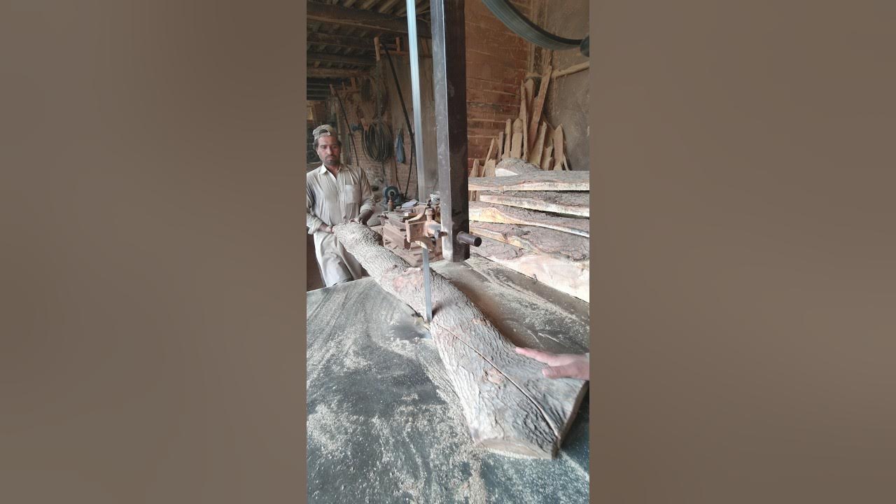 Sawing Clean and stright | Sawmill | Woodworking | Wood Cutting #shorts ...