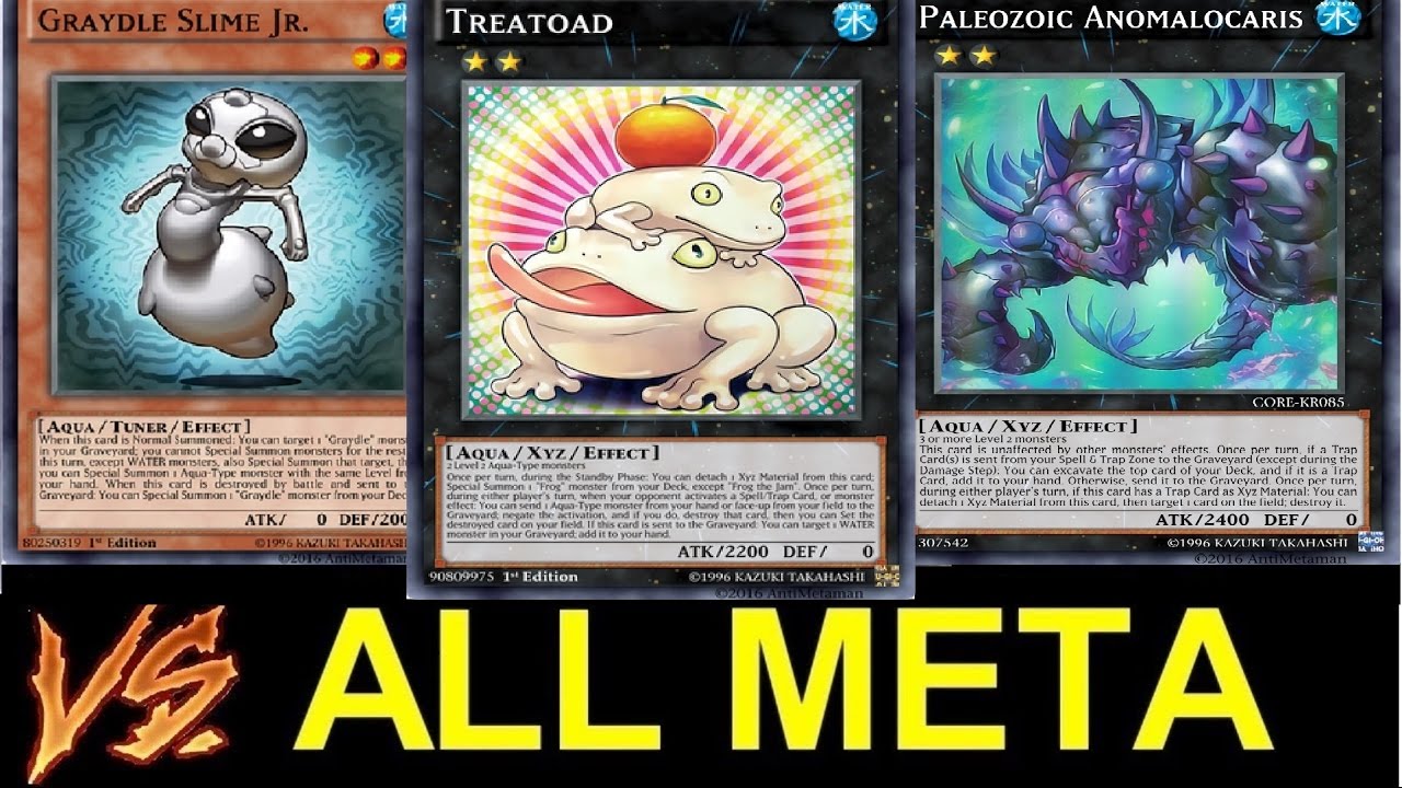 Paleozoic Frogs Ft.Graydle Vs...ALL META DECKS - AWESOME FROGS ...
