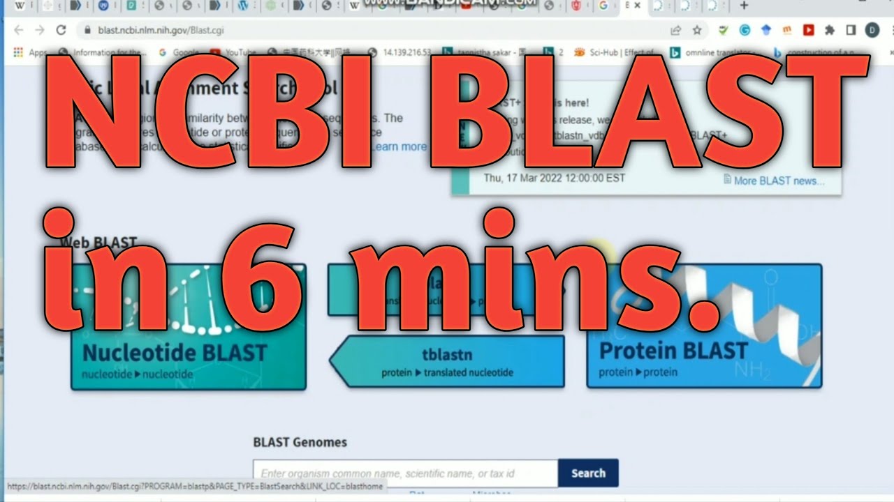 Ncbi blast ll protein sequence alignment ll nucleotide sequence ...