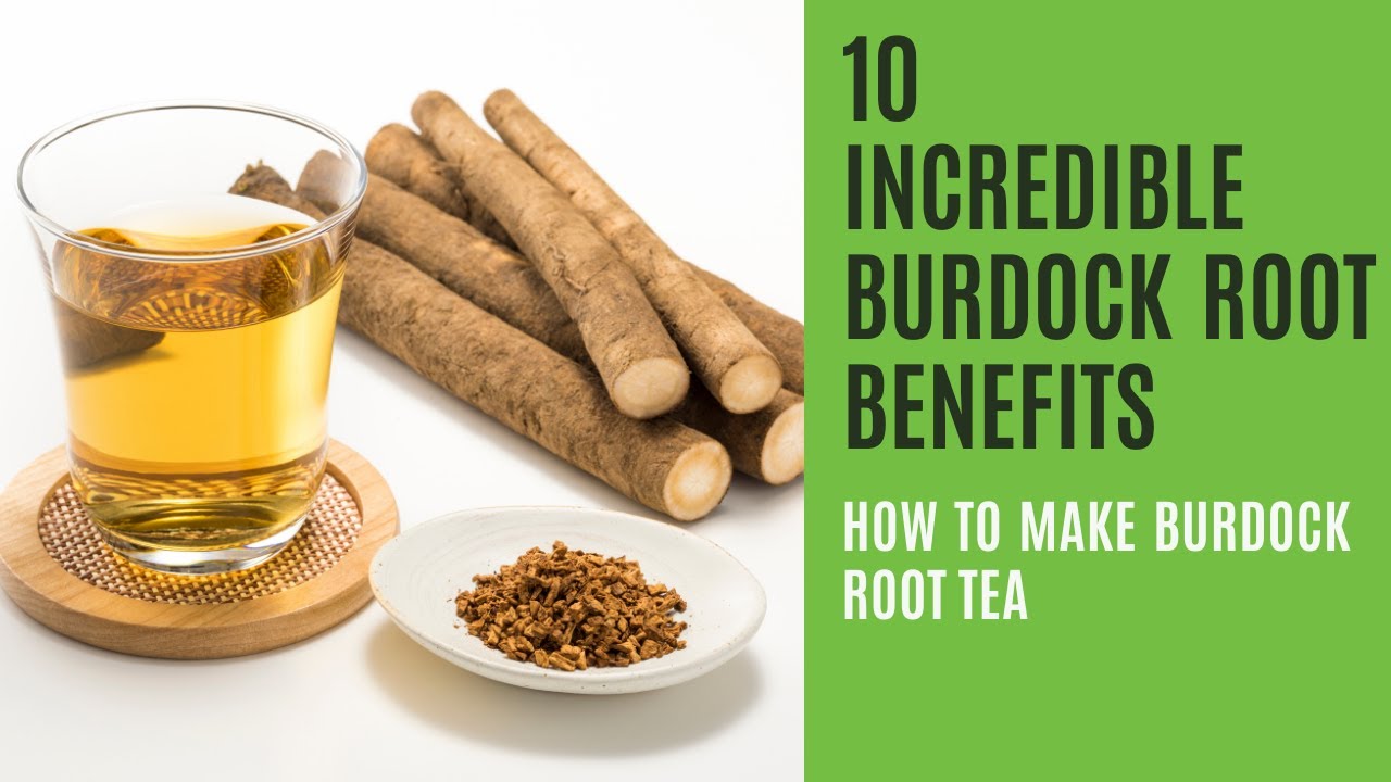 10 Impressive Benefits of Burdock Root | How to Make Burdock Root Tea ...