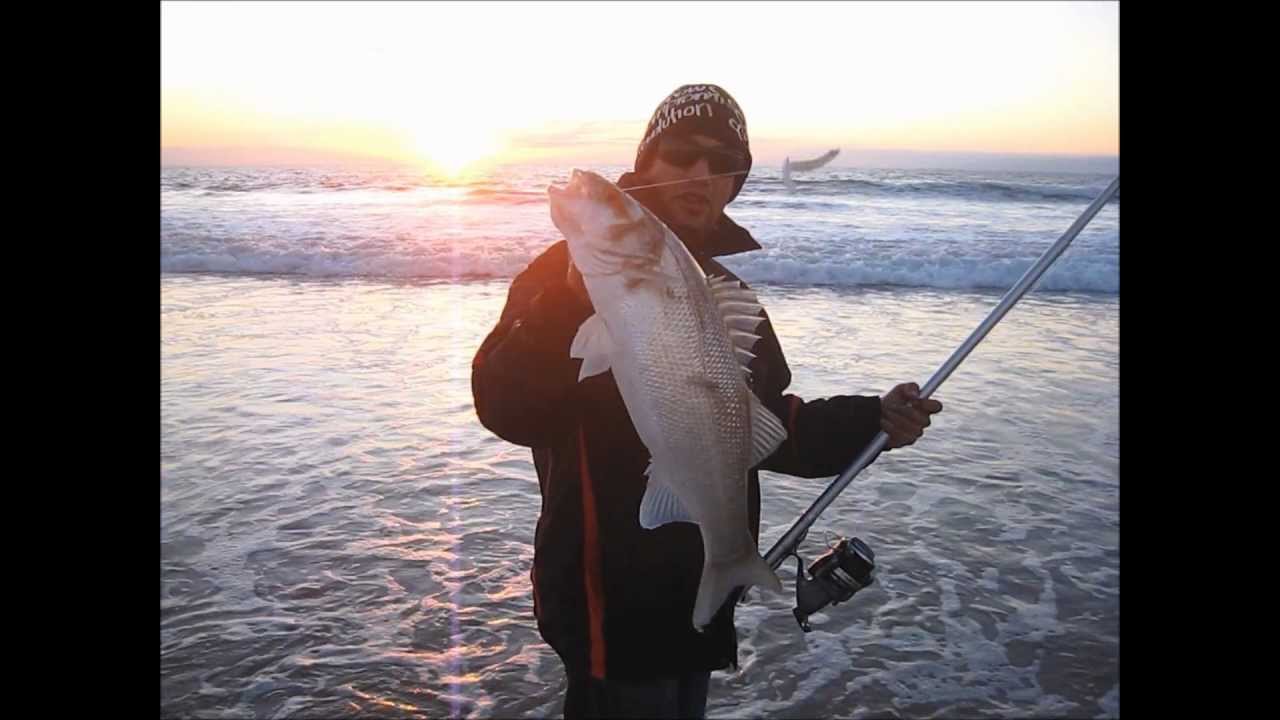 RAUL MARIO DORADA 2012 ROBALO PESCA SPIGOLA SURFCASTING LUBINA - YouTube