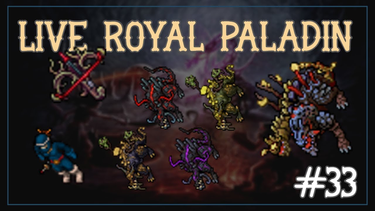 TIBIA RP 1.2K+ | ROTAÇÃO BOSS & HUNT | KALIBRA | #33 - YouTube