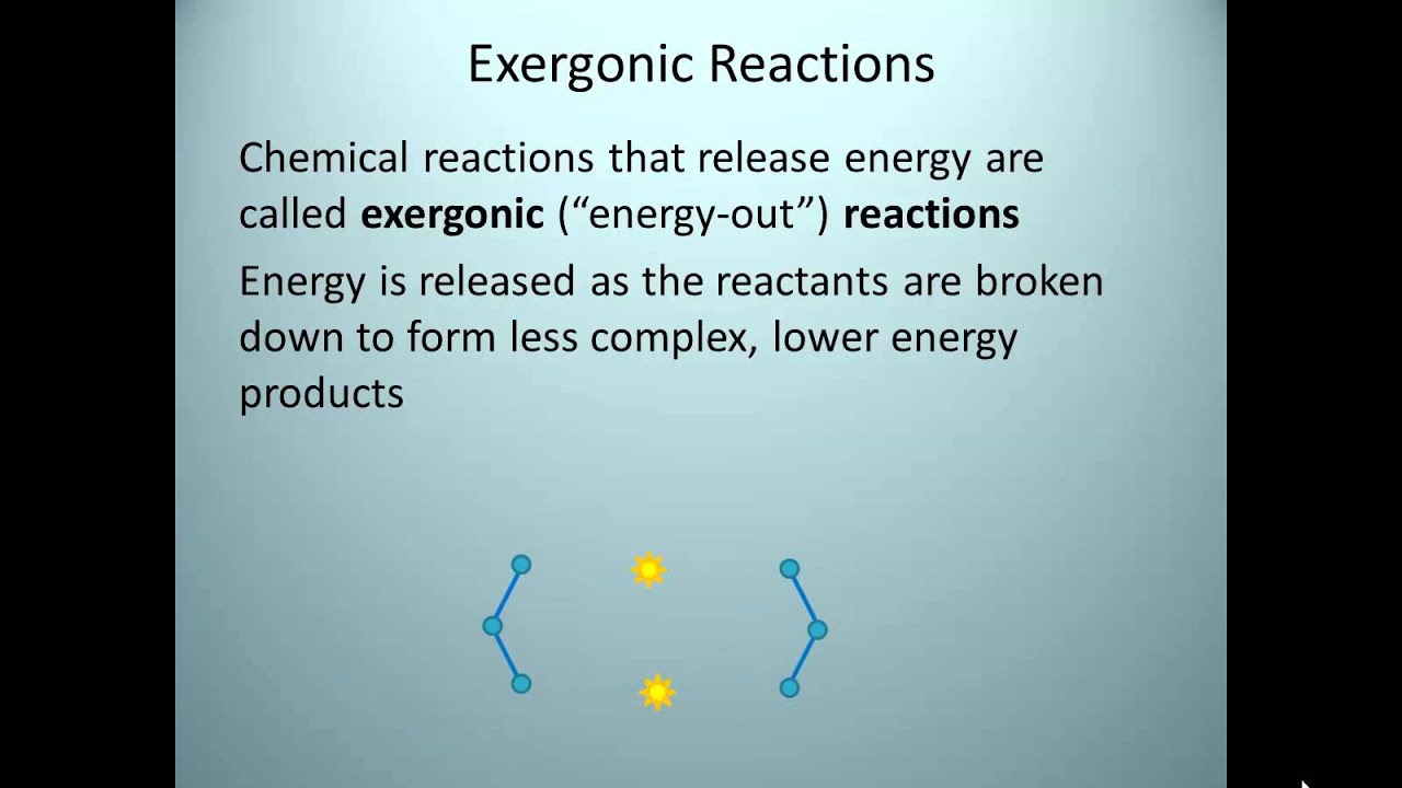 Exergonic Reactions - YouTube