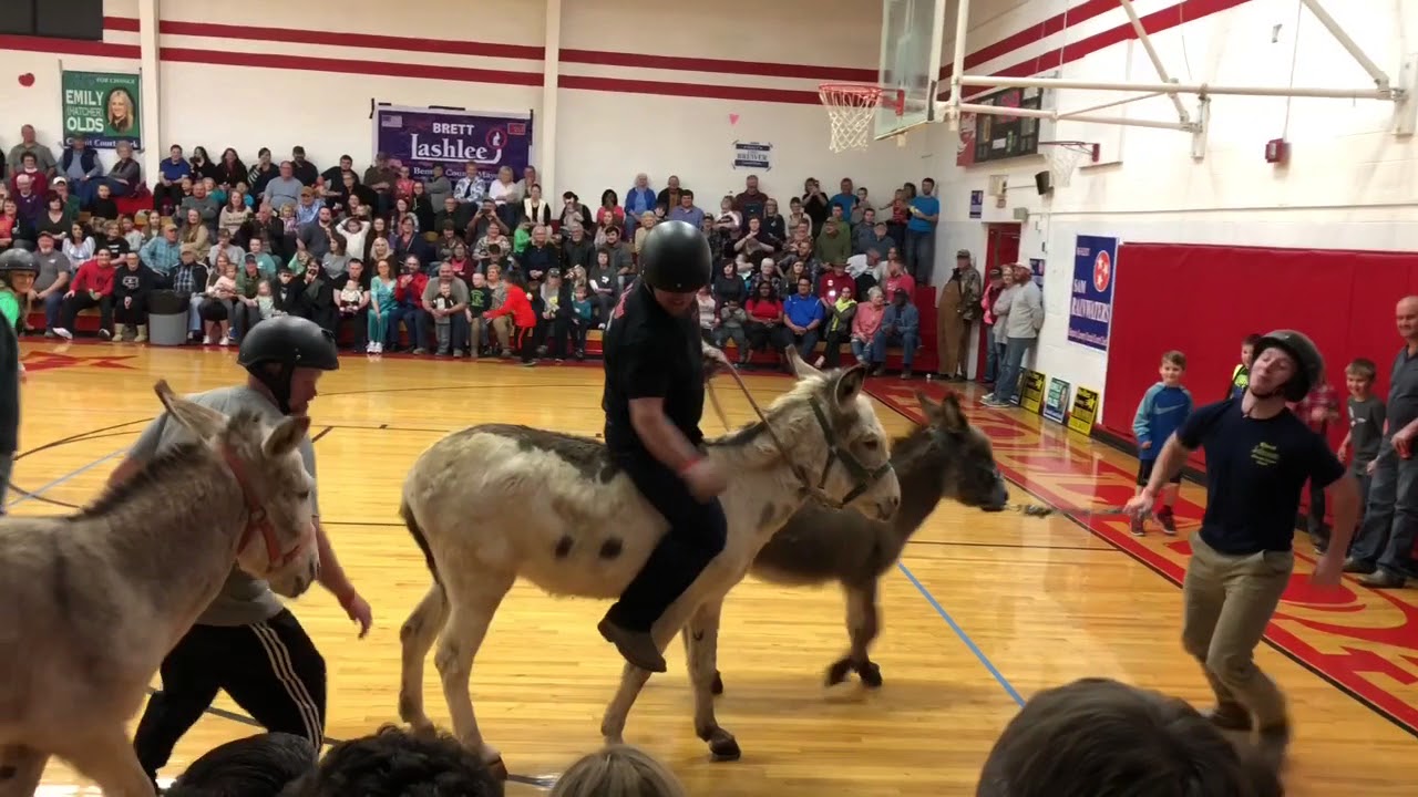 Donkey Basketball Highlights - YouTube