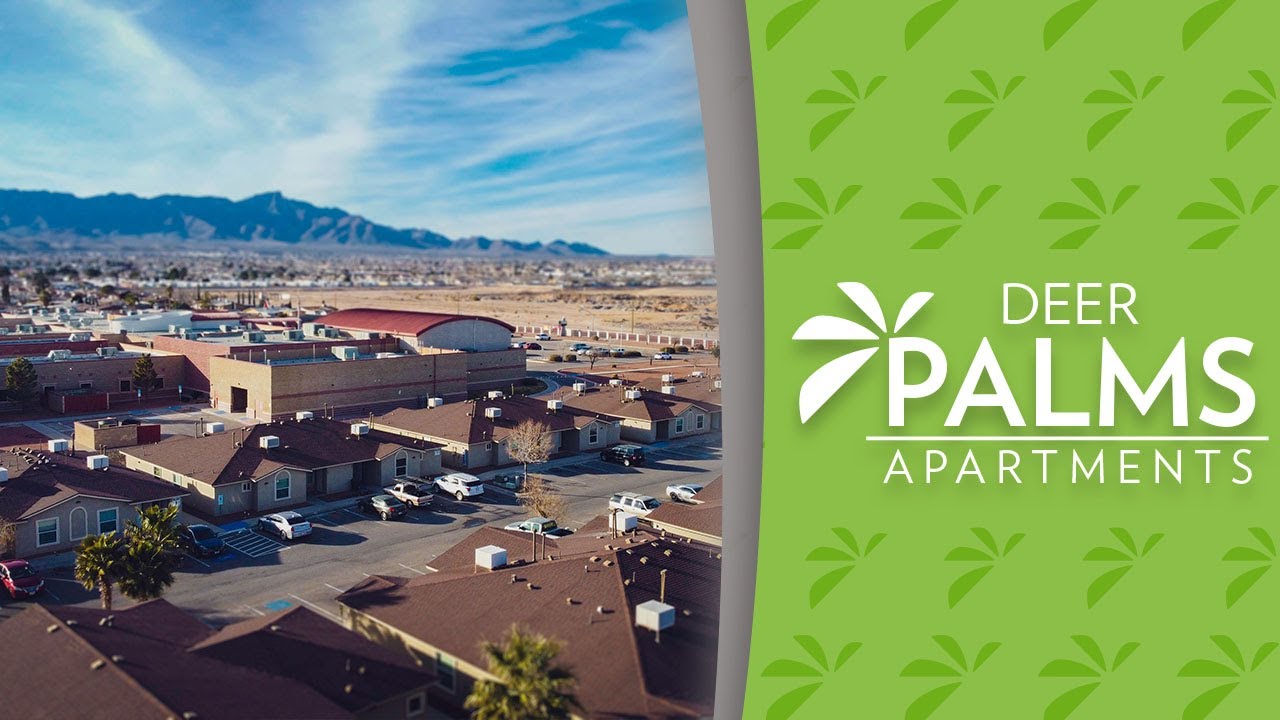 Deer Palms - YouTube