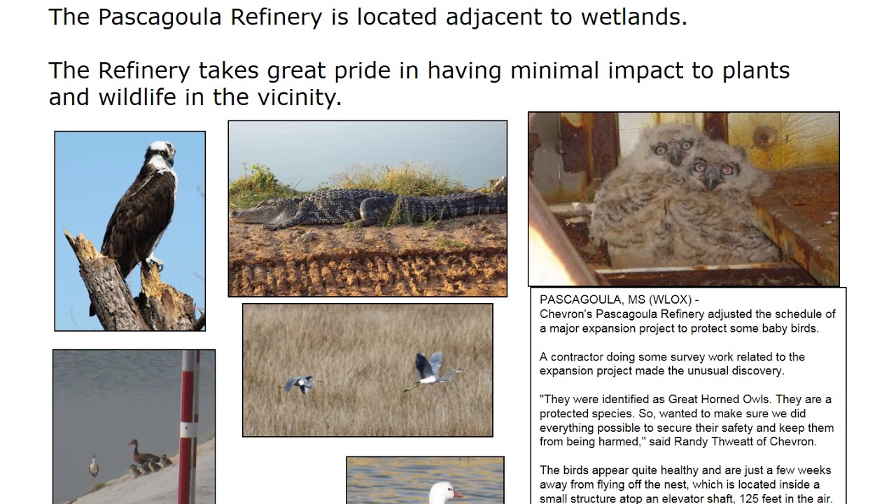 Presentation by Alan Sudduth 8 23 17 - YouTube