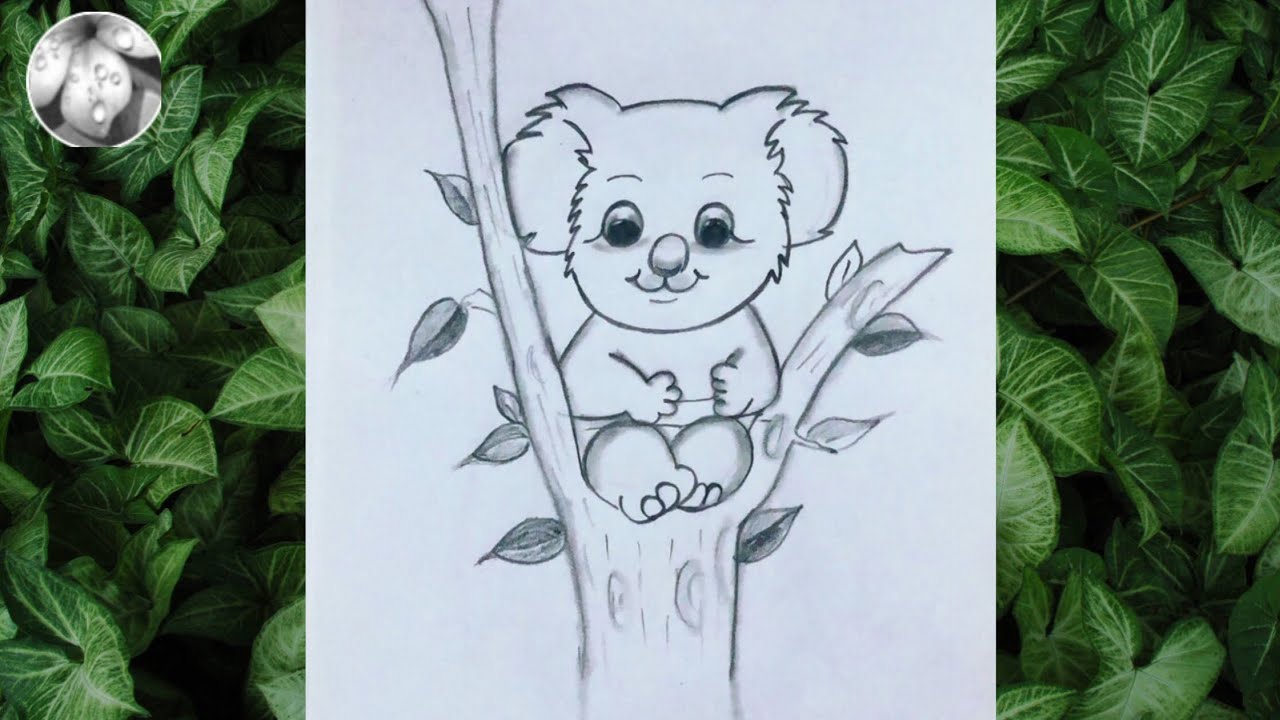 How to draw cute koala || Easy cute koala bear drawing || cute koala ...