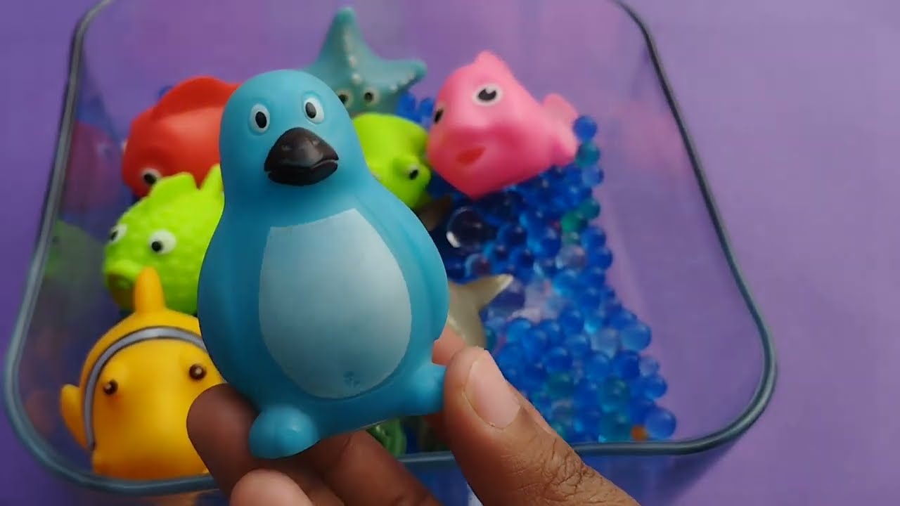 Sea Animals for Kids | Sea Creatures for Kids | Learn Sea Animals for ...