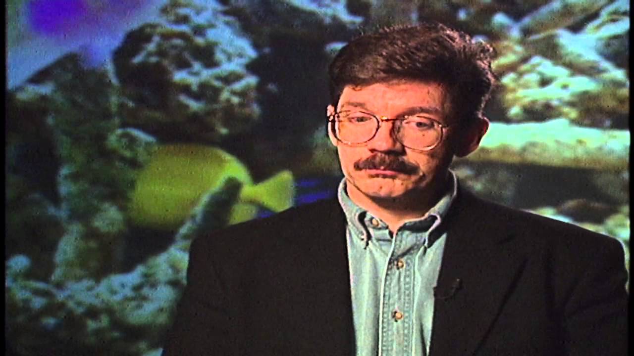 The Little Mermaid: Mark Henn Exclusive Interview Part 1 of 3 ...