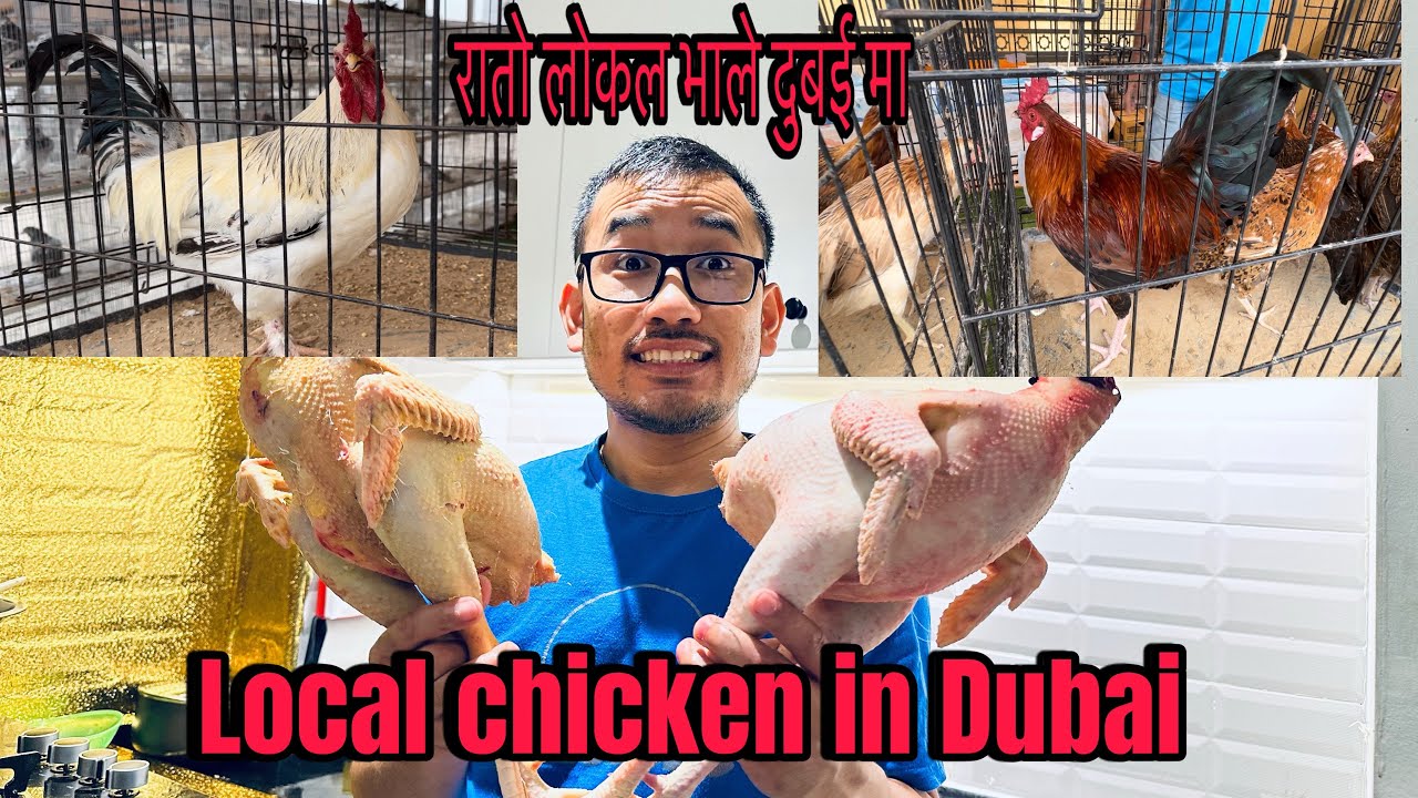 Where to get Local chicken in Dubai ?|| Dubai ma local Kuhrako bhale ...