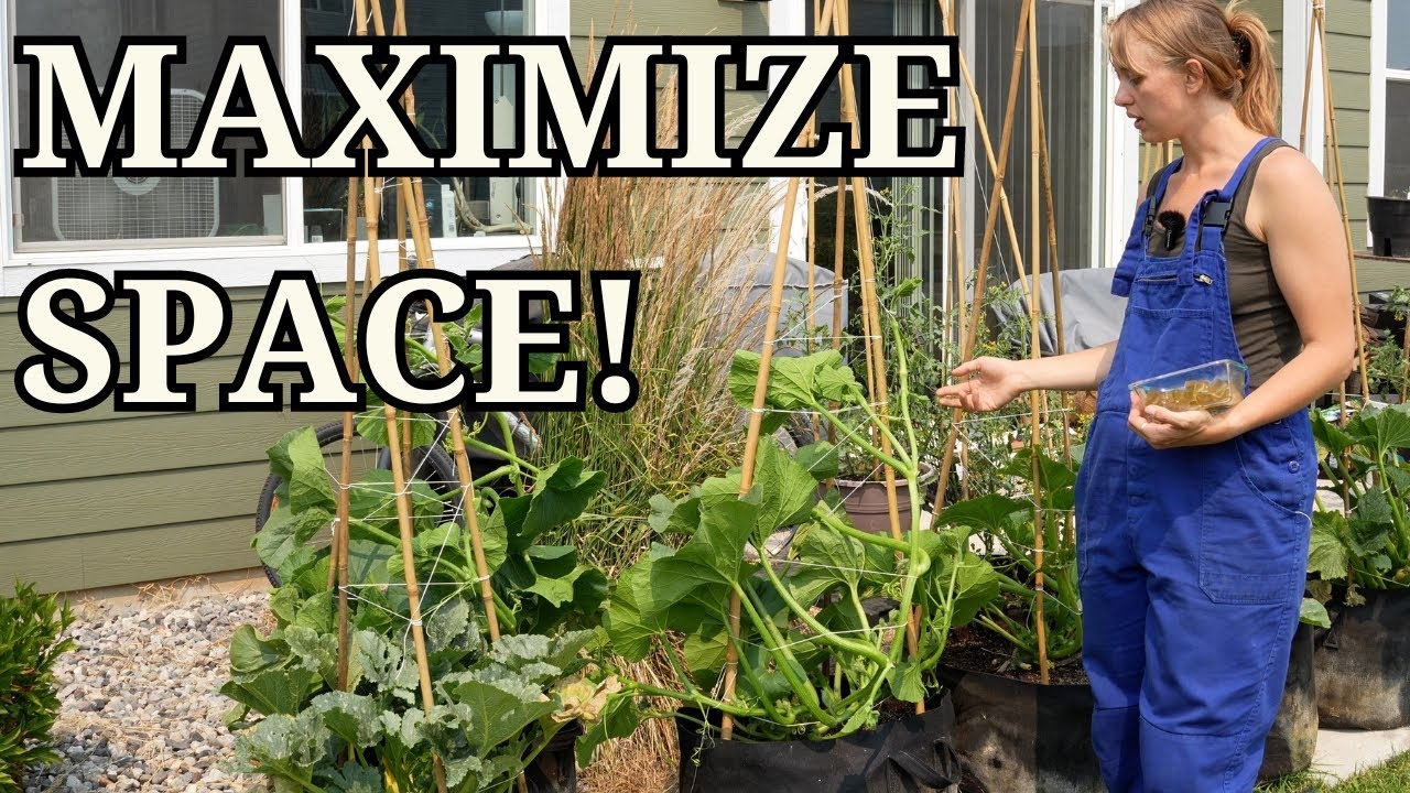Epic Squash Trellis Hack, Maximize Garden Space! - YouTube