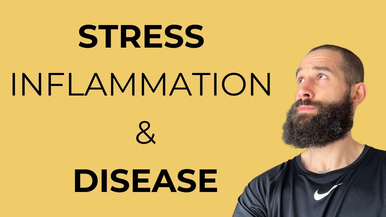 Why Stress and Inflammation Cause Disease - YouTube