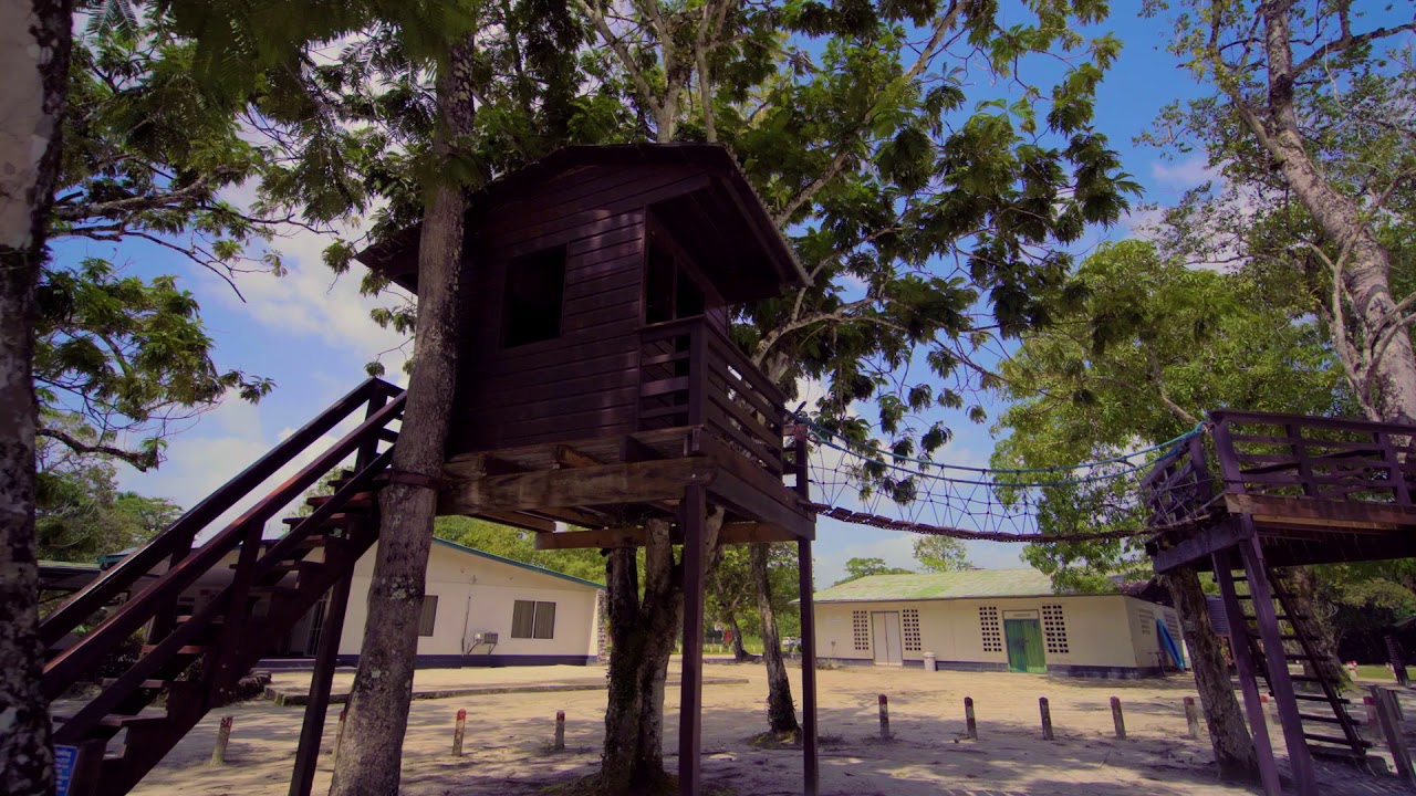 Colakreek Suriname - Mets - YouTube