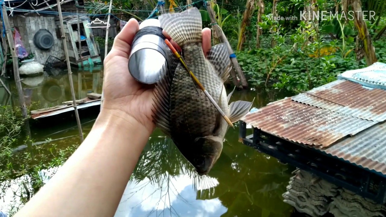 Paser Ikan Diwaktu Banjir part 1 - YouTube