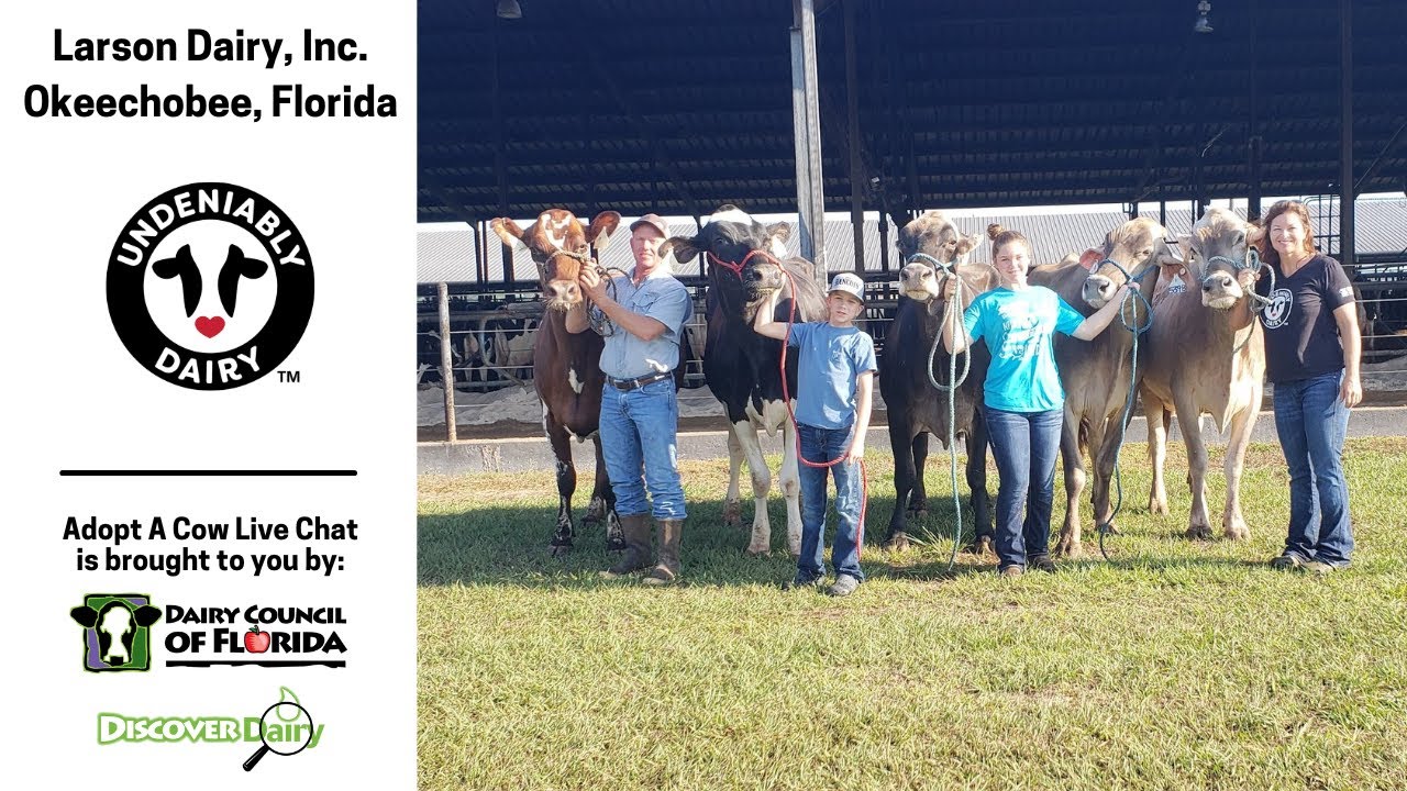 Larson Dairy, Inc. - Adopt A Cow Live Chat 2023 - YouTube