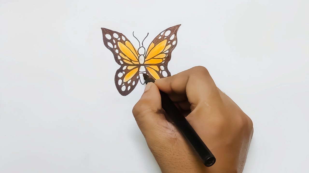 how to draw a butterfly step by step | butterfly drawing for kids ...