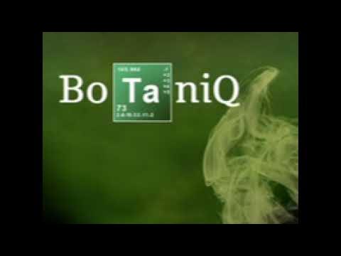 BotaniQ Live Stream - YouTube