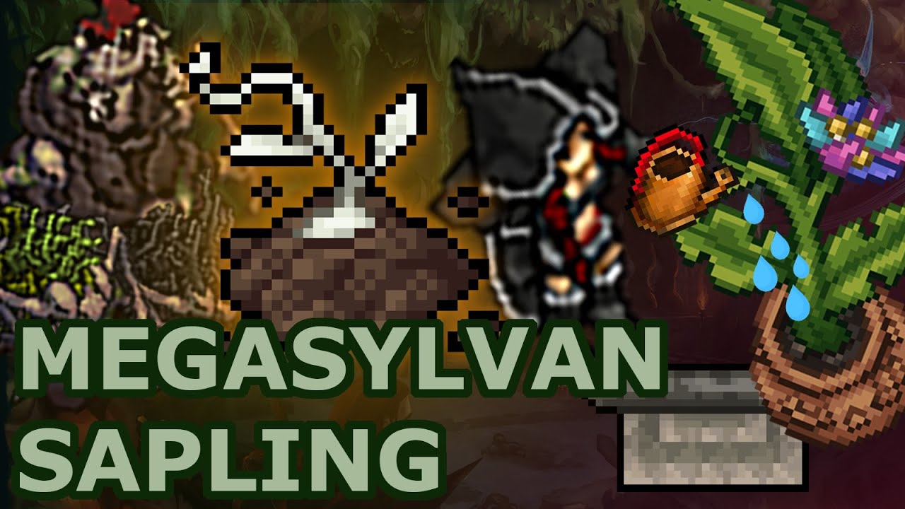[Tibia] Wszystko co musisz wiedzieć o Megasylvan Sapling 🌱 - Yselda ...