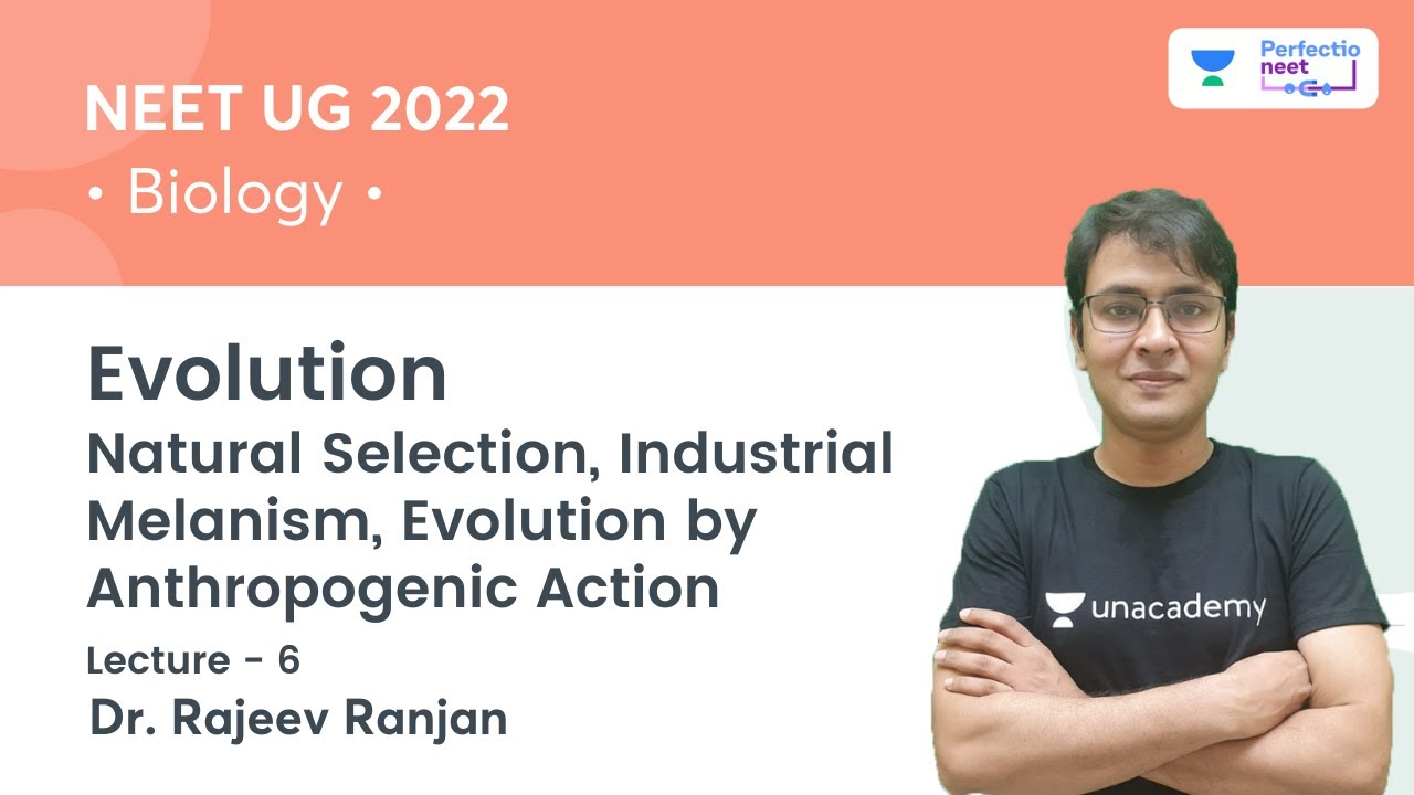 Evolution | Natural Selection, Industrial Melanism, Evolution by ...