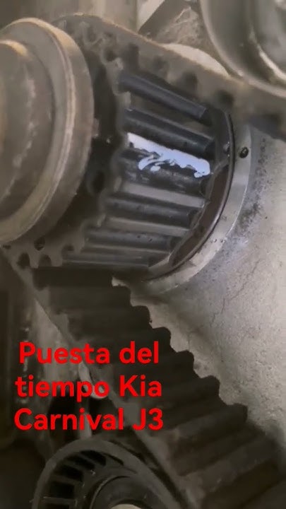 Kia Carnaval 2.9 PK J3 - YouTube